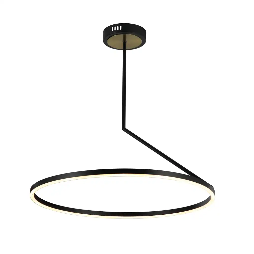 Cirqula LED Pendant – Custom Matte Black Ring Light for OEM Projects ...